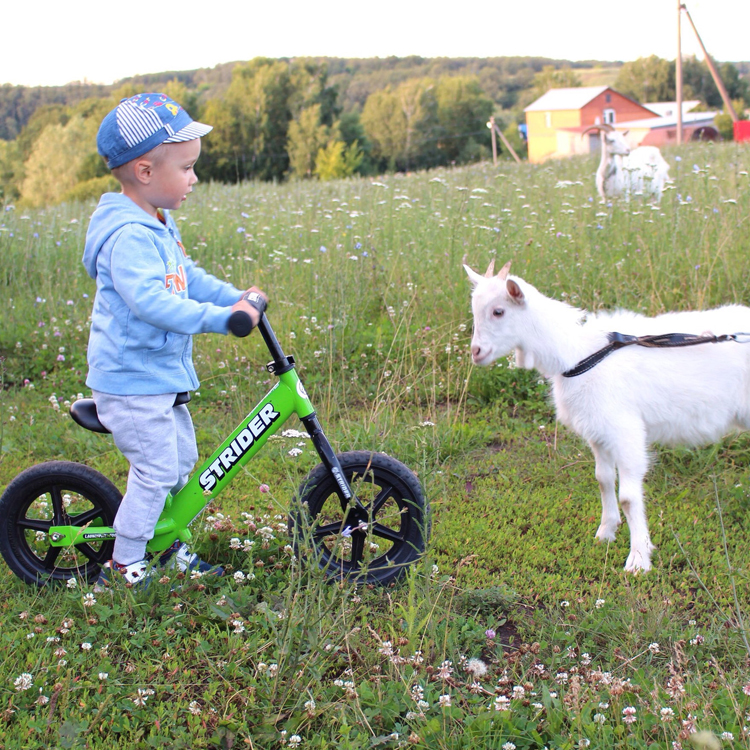 Bike Picker – Strider Balance Bikes